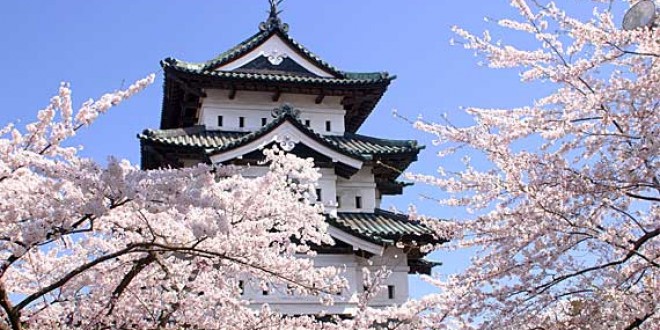 Moggill State School